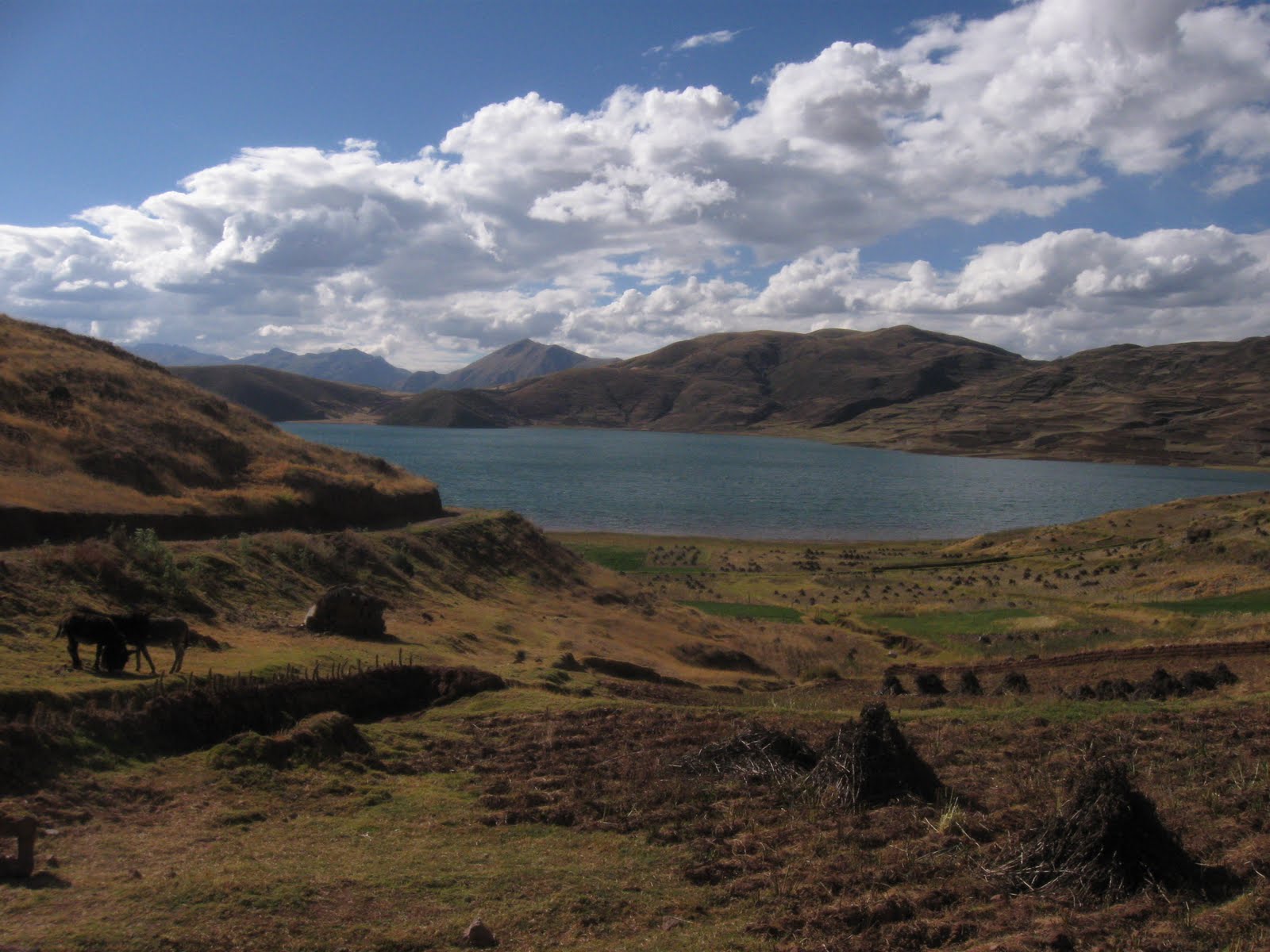 Provincias de Cusco: Provincia de Acomayo